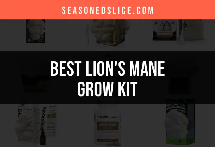 Top 10 Lion's Mane Grow Kits You Need to Try