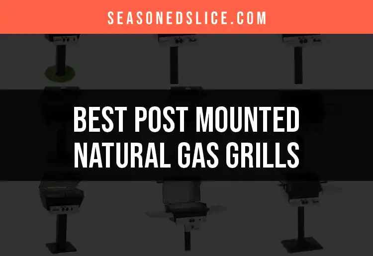 14 Best Post Mounted Natural Gas Grills for Outdoor Cooking